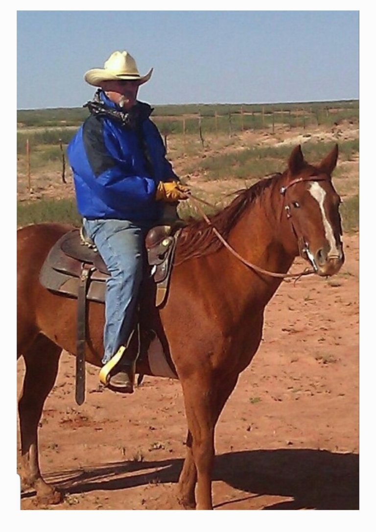 David Jensen - Learning Without Scars